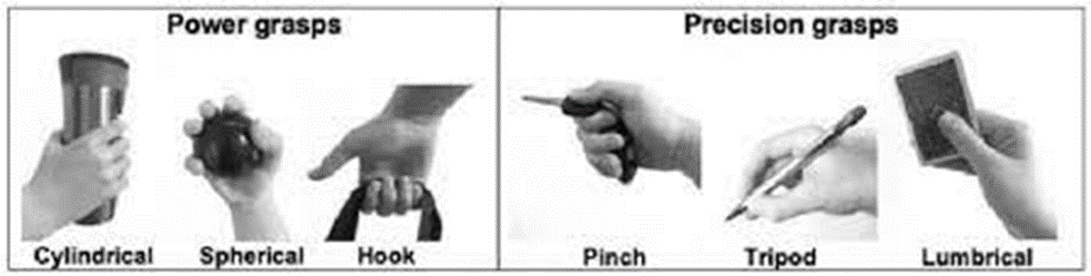 Grip Strength - Alpha Health Services